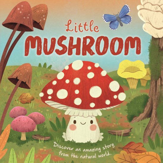 Igloo Books Little Mushroom | Bitsy Boxes